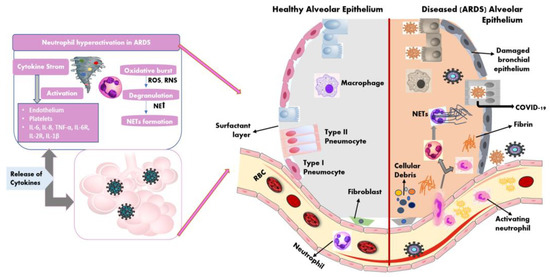 JPM | Free Full-Text | Prospects of Novel and Repurposed ...
