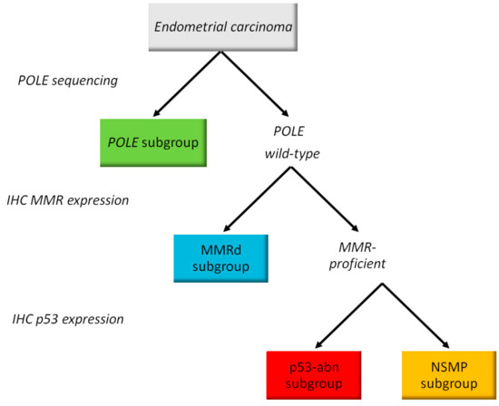 Prognostic Impact of Pathologic Features in Molecular Subgroups of ...