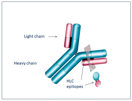 Laboratory and Clinical Settings of Heavy/Light Chain (HLC) Assays in ...