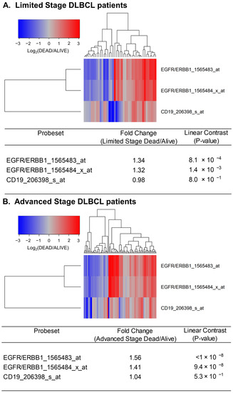 JPM | Free Full-Text | Upregulated Expression of ErbB1 in Diffuse Large ...