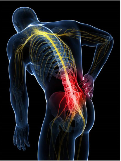 Defining the Patient with Lumbar Discogenic Pain: Real-World ...