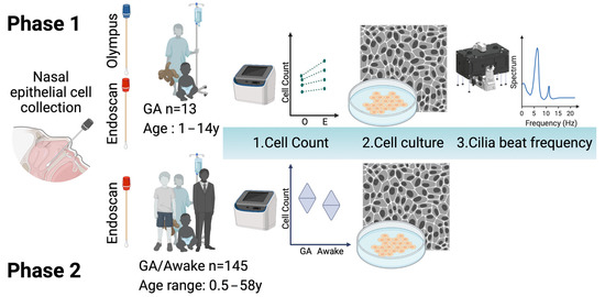 Comparing Cytology Brushes for Optimal Human Nasal Epithelial Cell ...