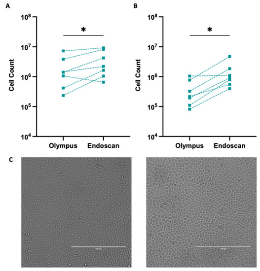 Comparing Cytology Brushes for Optimal Human Nasal Epithelial Cell ...