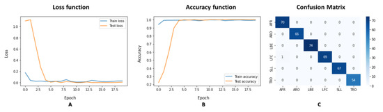 Using EfficientNet-B7 (CNN), Variational Auto Encoder (VAE) and Siamese ...