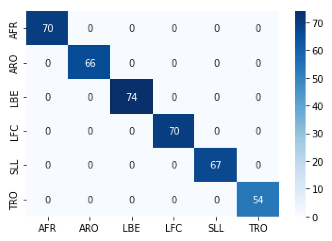 Using EfficientNet-B7 (CNN), Variational Auto Encoder (VAE) and Siamese Twins’ Networks to ...