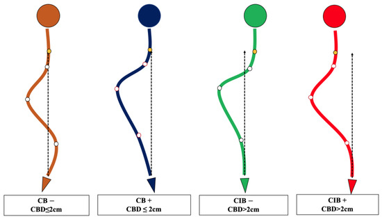 JPM | Free Full-Text | Apical Vertebras Distribution Modifier for ...