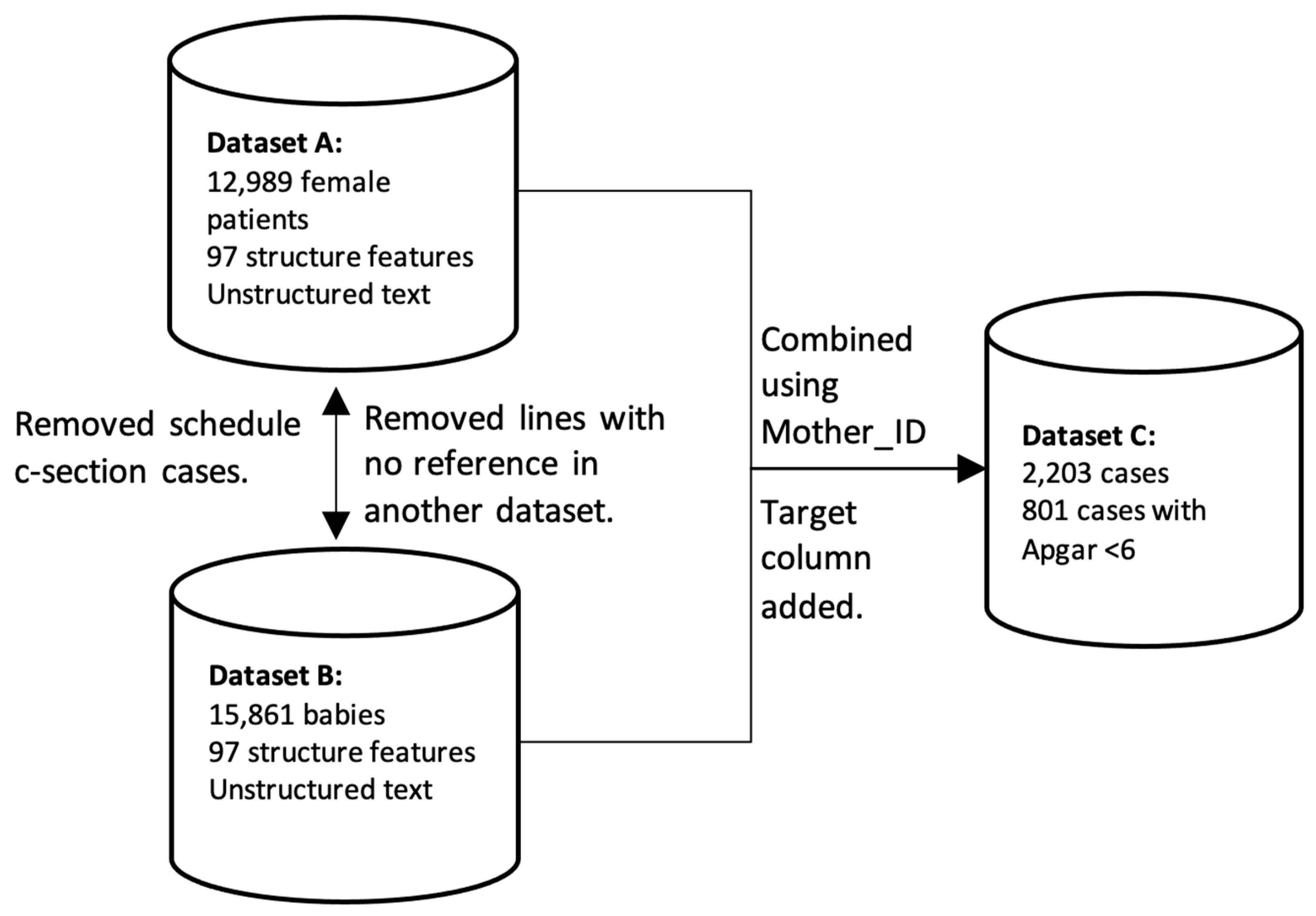 Machine Learning Methods for Pregnancy and Childbirth Risk Management