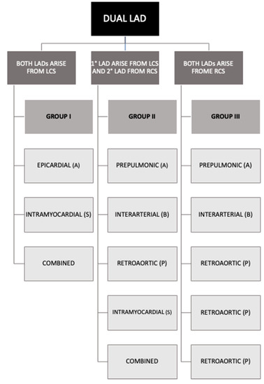 The Role of Coronary CT Angiography in the Evaluation of Dual Left ...