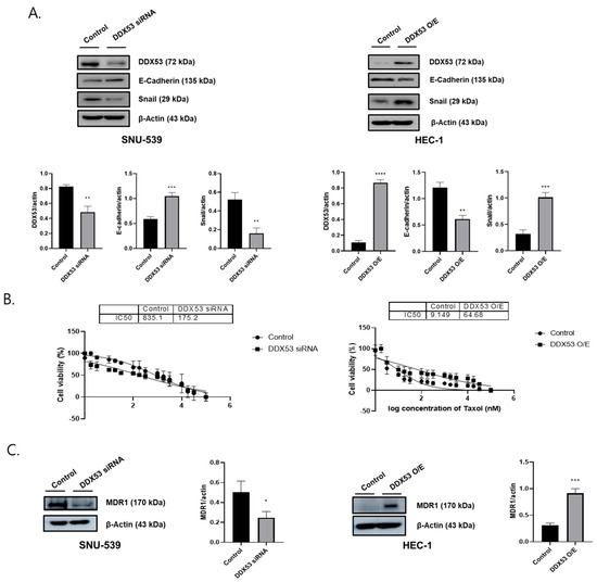 JPM | Free Full-Text | miR-429 Suppresses Endometrial Cancer ...