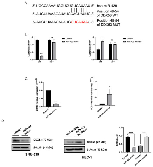JPM | Free Full-Text | miR-429 Suppresses Endometrial Cancer ...