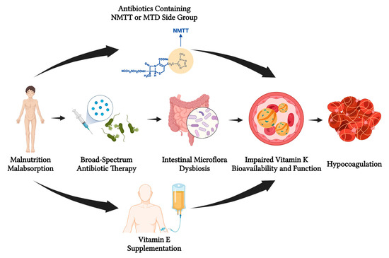 Association of Broad-Spectrum Antibiotic Therapy and Vitamin E ...