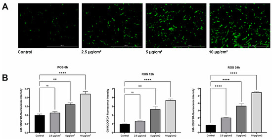 JPM | Free Full-Text | Molecular and Cellular Mechanism of Action of ...