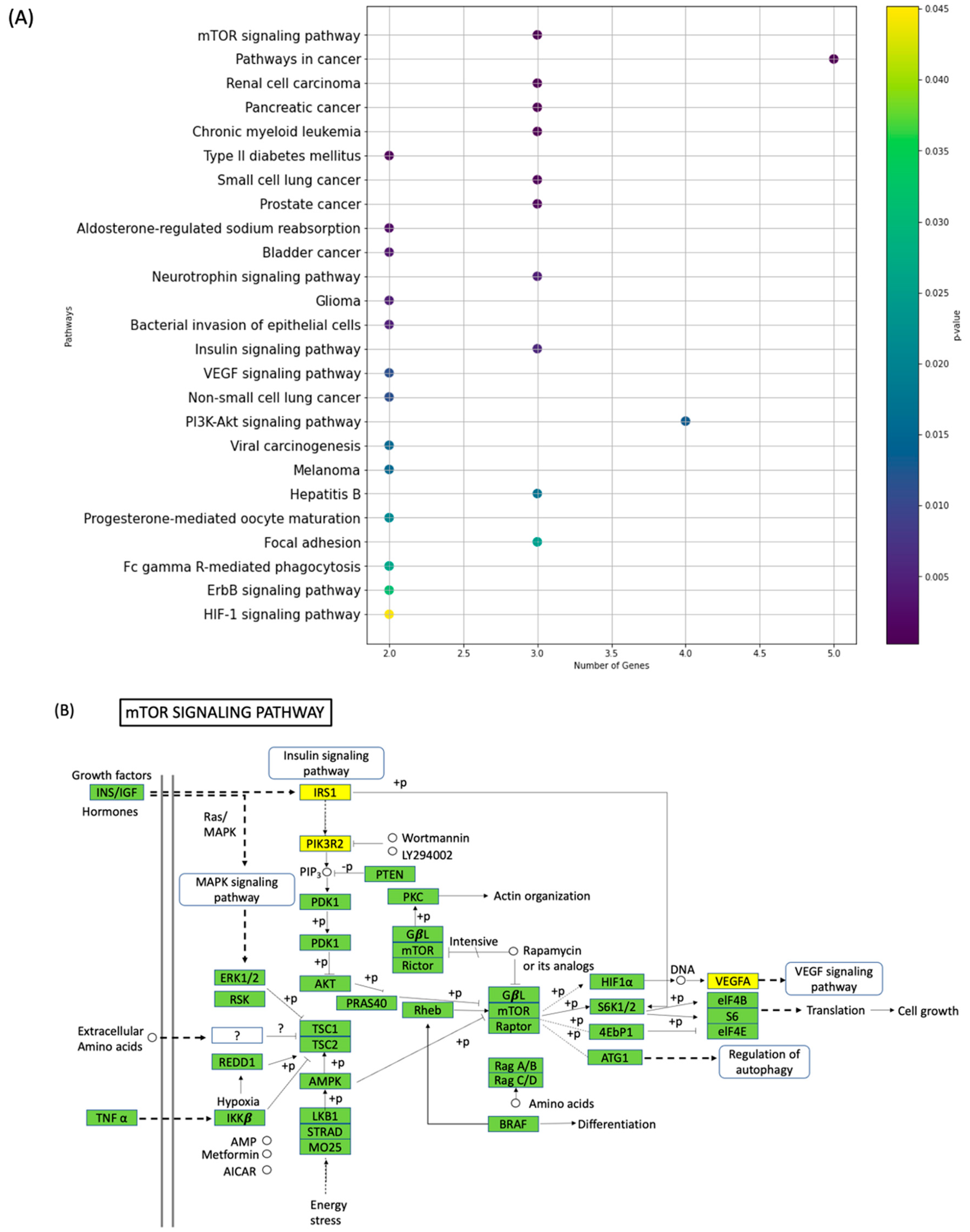 From Data to Insights: Machine Learning Empowers Prognostic Biomarker Prediction in Autism