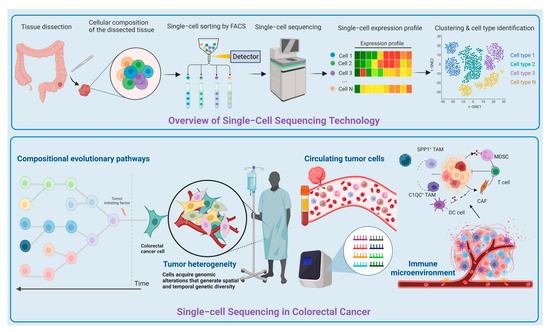 Application of Single-Cell Sequencing Technology in Research on ...