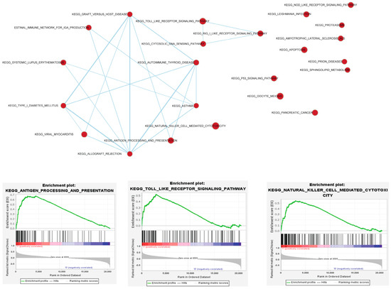 The Role of SPEN Mutations as Predictive Biomarkers for Immunotherapy ...