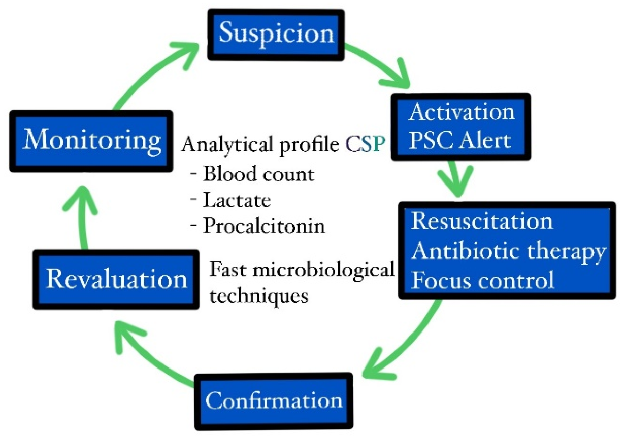 Decrease in Mortality after the Implementation of a Hospital Model to ...