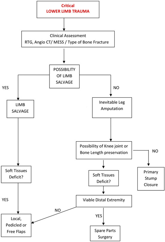 Exploring the Role of Free Tissue Transfers in the Preservation of Bone ...