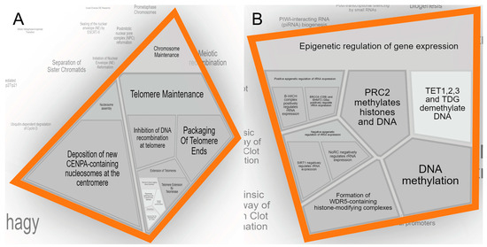 JPM | Free Full-Text | Chromatin Remodeling-Related PRDM1 Increases ...