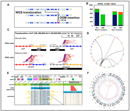 Integrating Optical Genome Mapping and Whole Genome Sequencing in Somatic Structural Variant ...