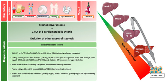 MASLD-Related HCC—Update on Pathogenesis and Current Treatment Options