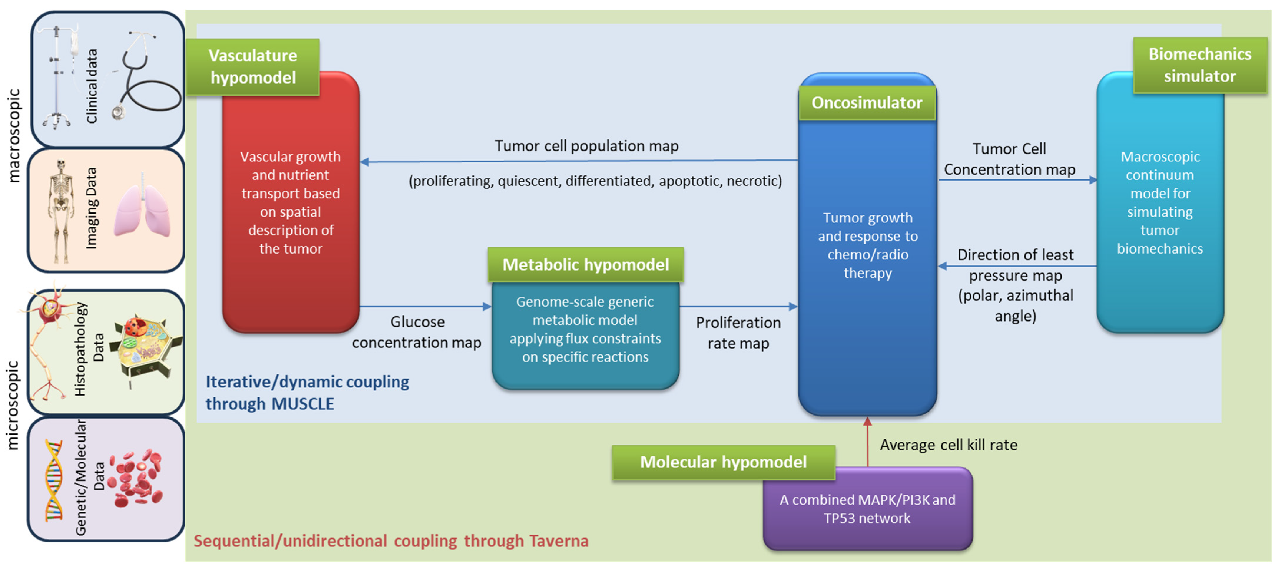 JPM | Free Full-Text | A Multidisciplinary Hyper-Modeling Scheme in ...