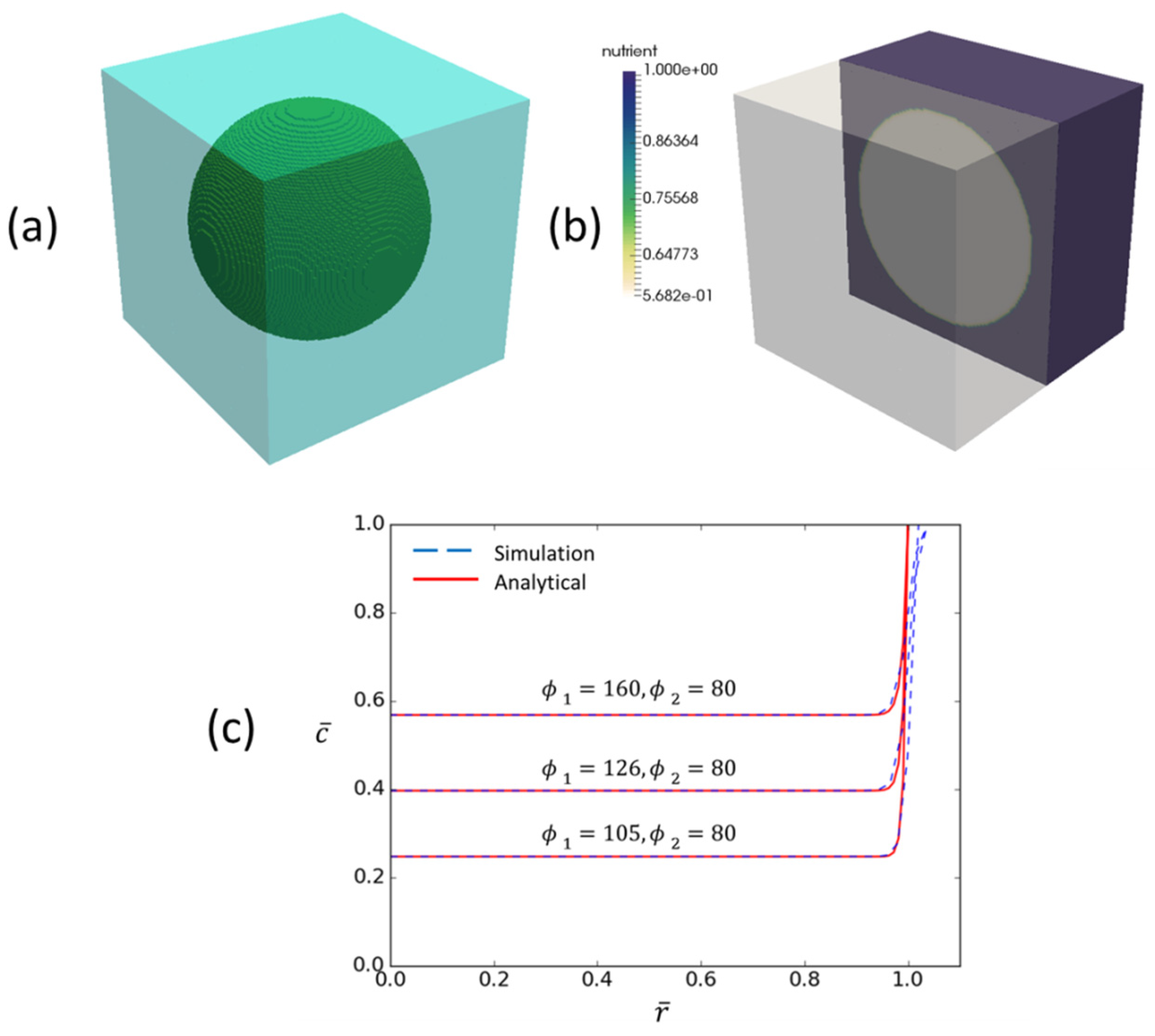 JPM | Free Full-Text | A Multidisciplinary Hyper-Modeling Scheme in ...