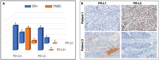 Divergent Cellular Expression Patterns of PD-L1 and PD-L2 Proteins in ...