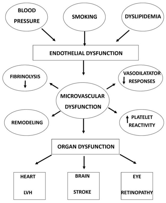 Non-Invasive Retinal Vessel Analysis as a Predictor for Cardiovascular ...