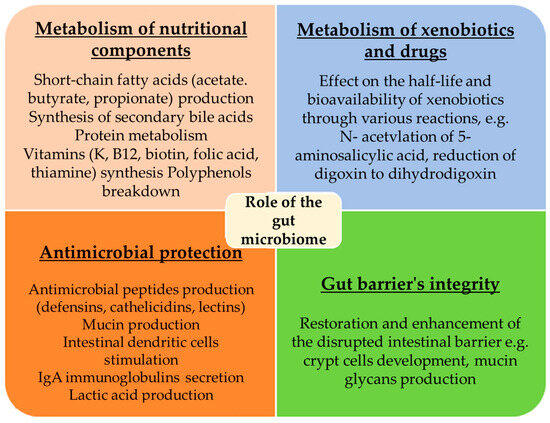 JPM | Free Full-Text | Exploring the Gut Microbiome’s Role in ...