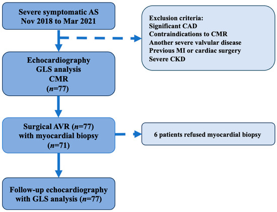 The Relative Apical Sparing Strain Pattern in Severe Aortic Valve ...