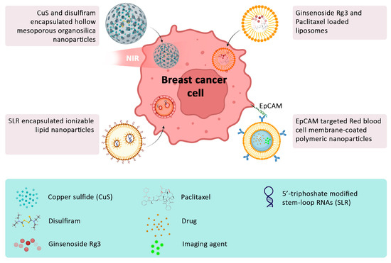 Emerging Applications of Nanoparticles in the Diagnosis and Treatment ...