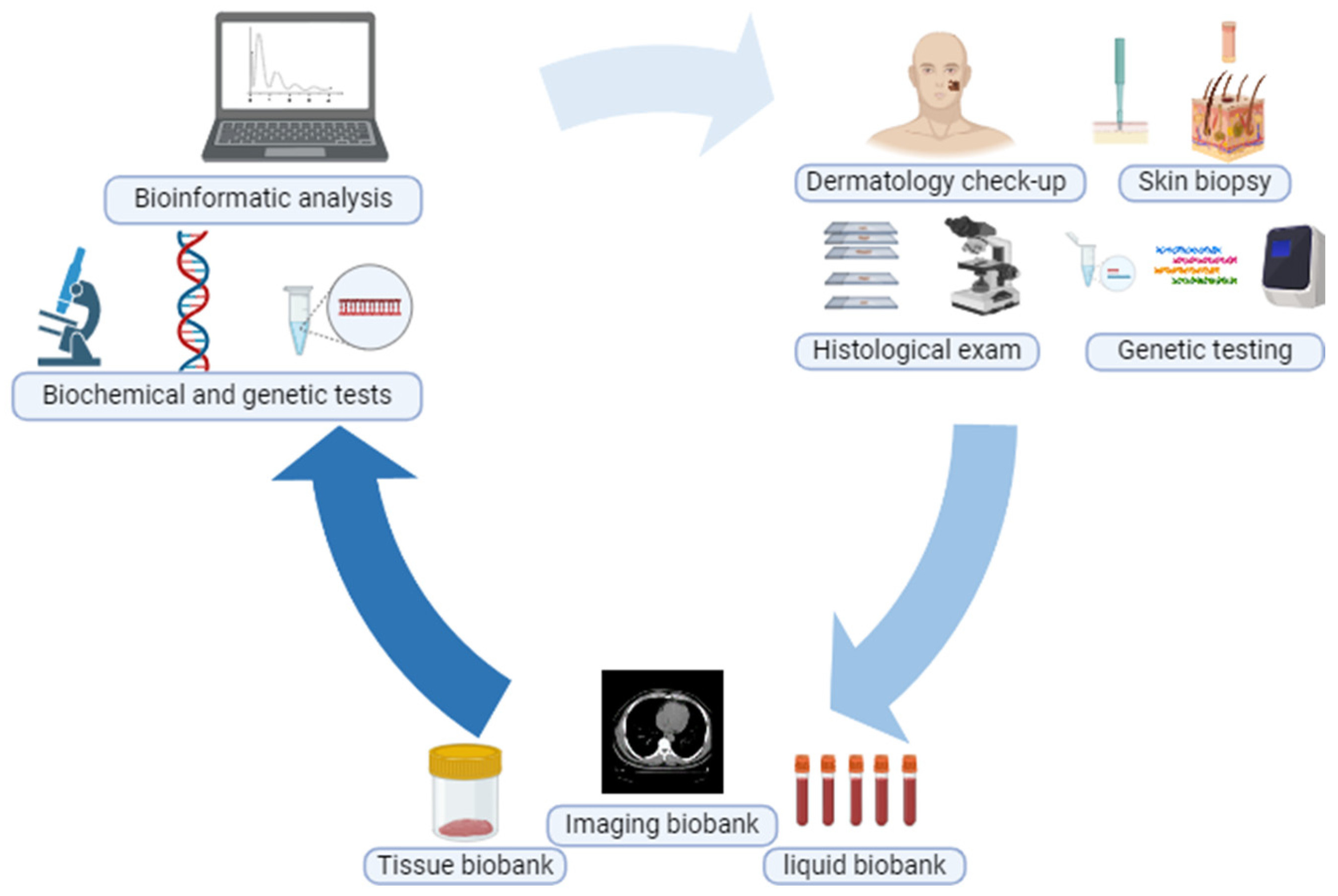 Biobanks as an Indispensable Tool in the “Era” of Precision Medicine ...