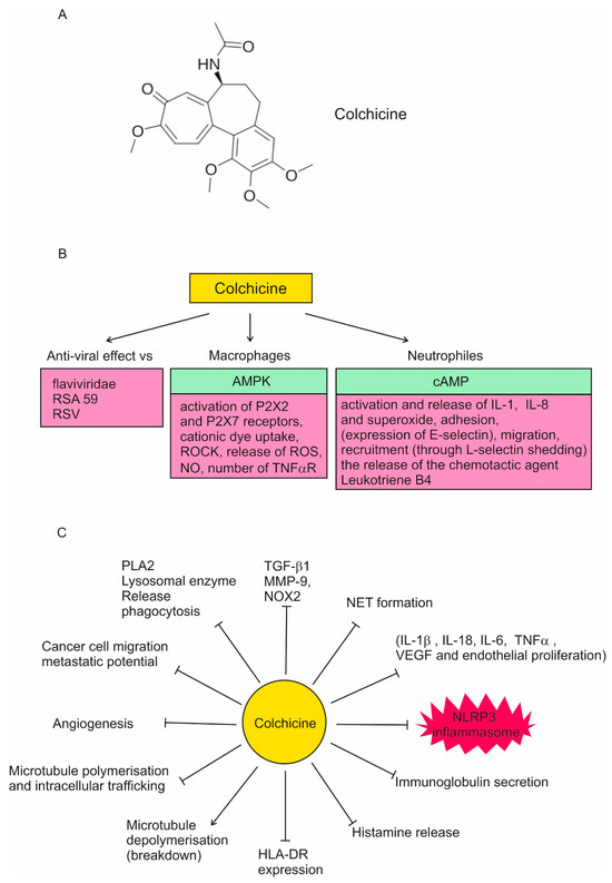 JPM | Free Full-Text | Colchicine—The Divine Medicine against COVID-19