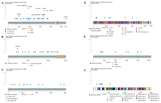 Whole-Exome Sequencing Reveals Novel Candidate Driver Mutations and ...