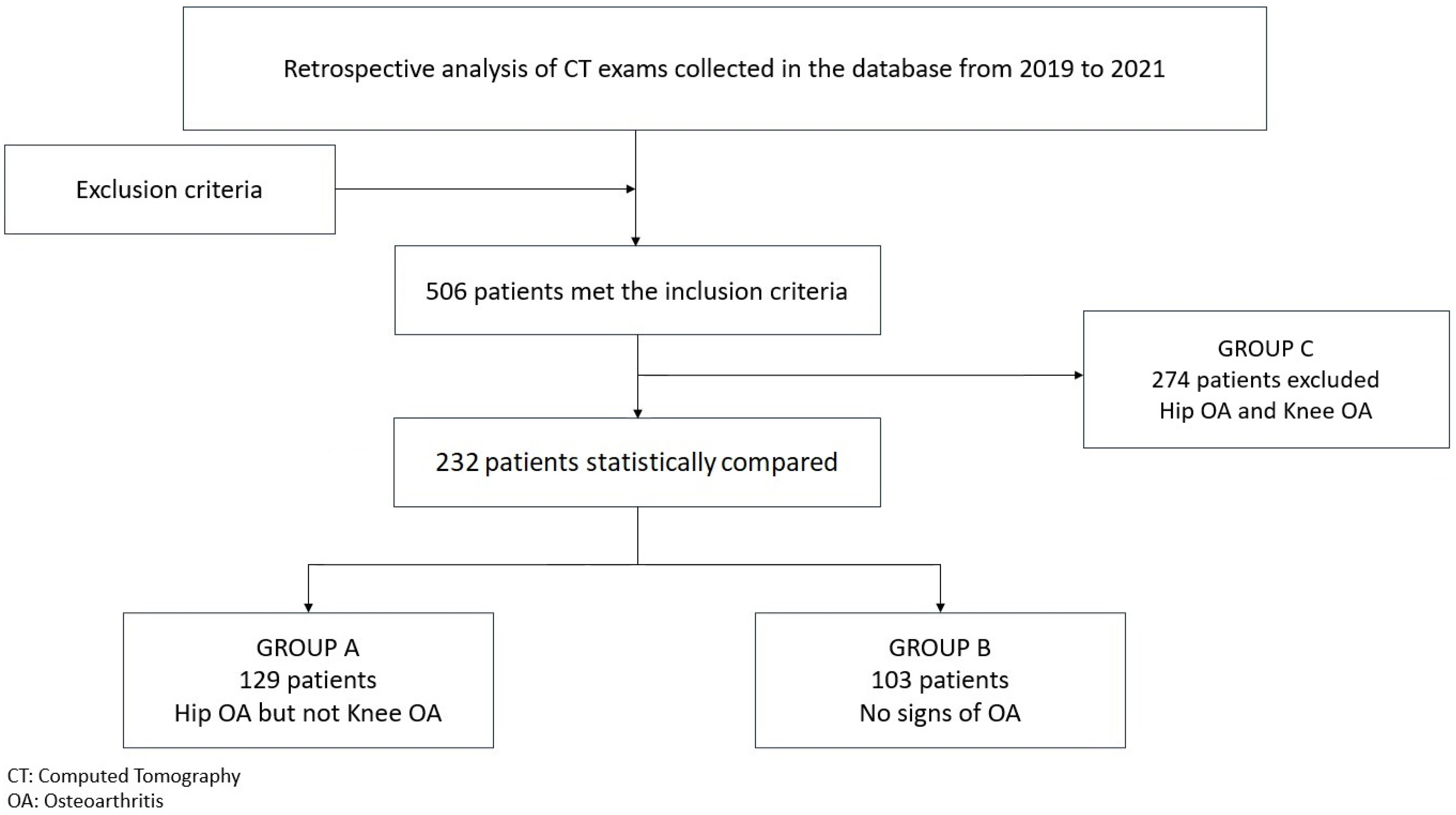 Unveiling the Hidden Links: Anatomical and Radiological Insights into ...