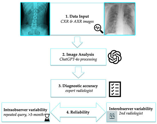The Accuracy of ChatGPT-4o in Interpreting Chest and Abdominal X-Ray Images