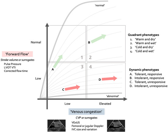 Point of View: A Holistic Four-Interface Conceptual Model for ...
