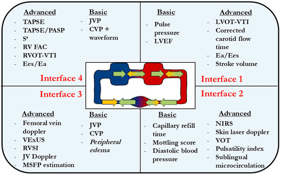 Point of View: A Holistic Four-Interface Conceptual Model for ...