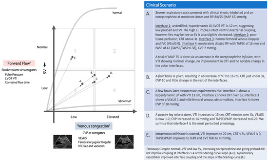 Point of View: A Holistic Four-Interface Conceptual Model for ...
