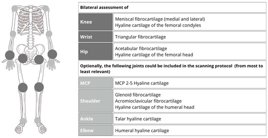 Ultrasonographic Assessment of Calcium Pyrophosphate Deposition Disease: A Comprehensive Review