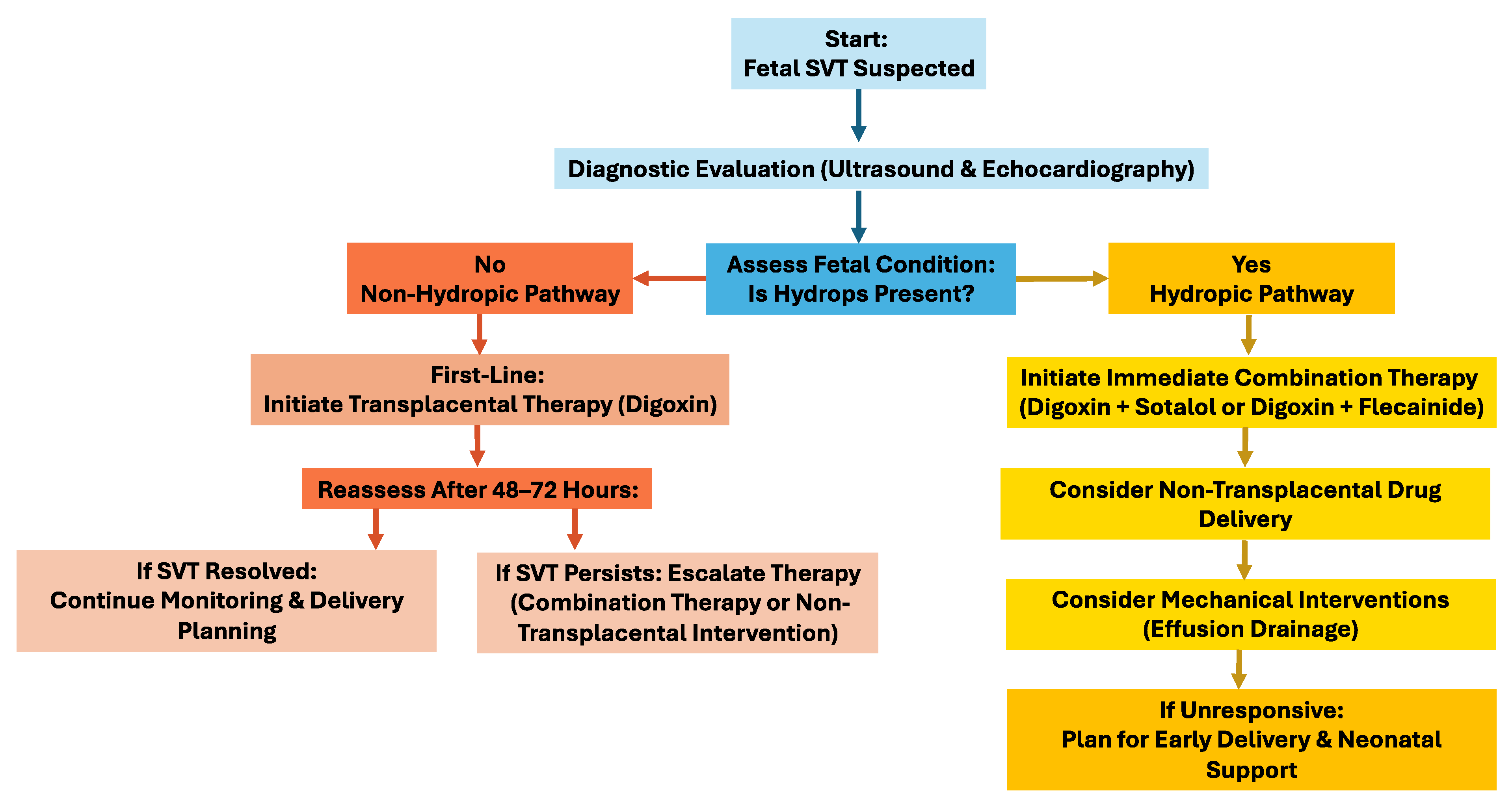 Fetal Supraventricular Tachycardia: What Do We Know up to This Day?