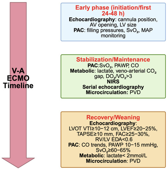 Beyond Standard Parameters: Precision Hemodynamic Monitoring in ...