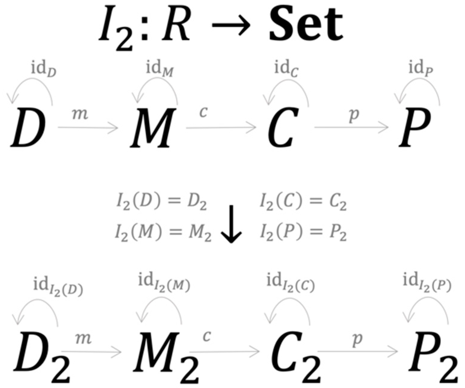 Modeling Credit Risk: A Category Theory Perspective