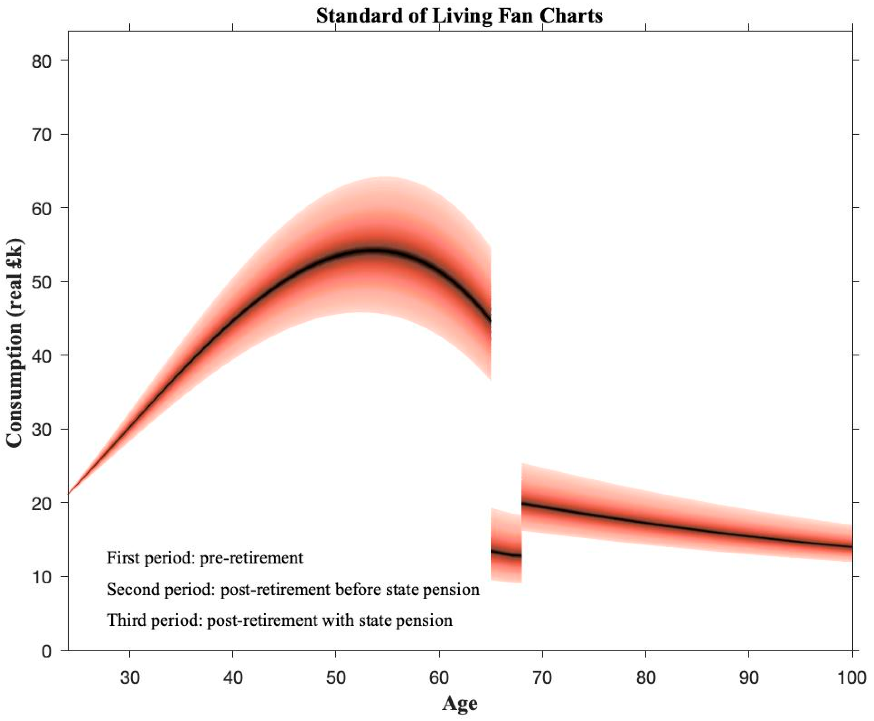 Good Practice Principles in Modelling Defined Contribution Pension Plans
