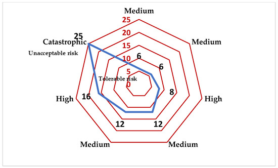 Risk Mapping: Ranking and Analysis of Selected, Key Risk in Supply Chains