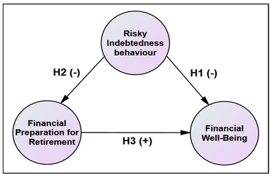Risky Indebtedness Behavior: Impacts on Financial Preparation for ...