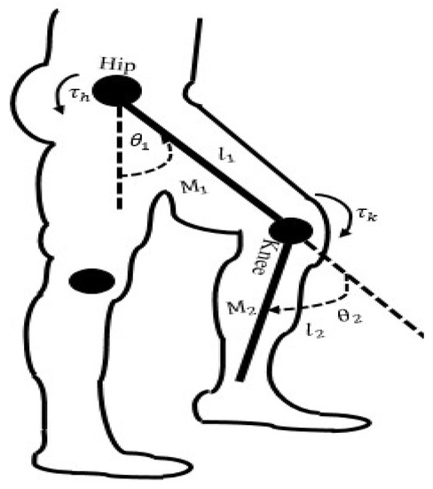 Sensorless Estimation of Human Joint Torque for Robust Tracking Control of Lower-Limb ...