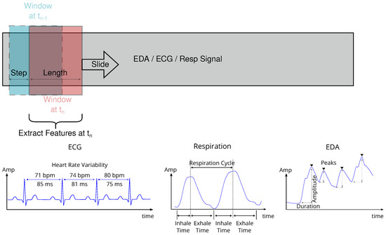 Enhancing Mental Fatigue Detection through Physiological Signals and ...