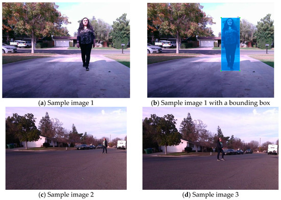 AI-Based Pedestrian Detection and Avoidance at Night Using Multiple Sensors