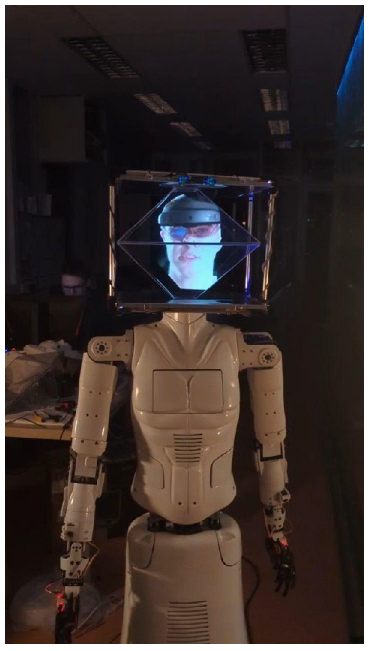 Optimized Data Transmission and Signal Processing for Telepresence ...